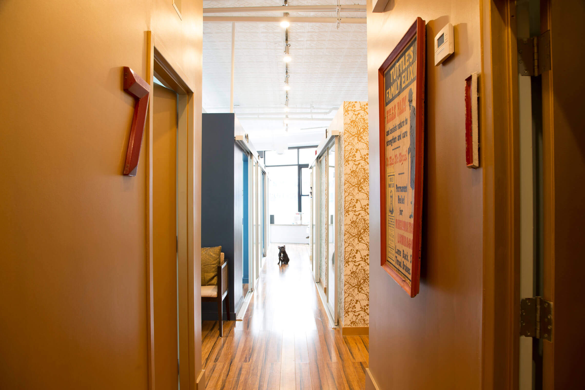 Physio Logic - SHERMAN ARCHITECTS